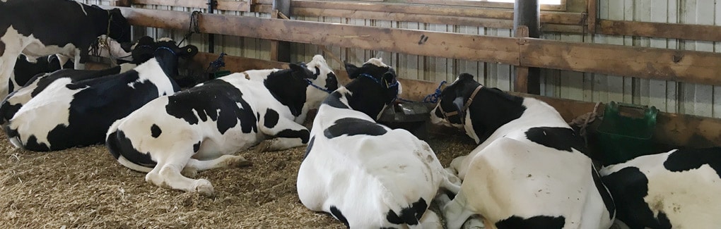 Feed VFD Information - New Vision Coop