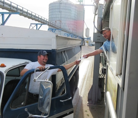 Grain | New Vision Co-op