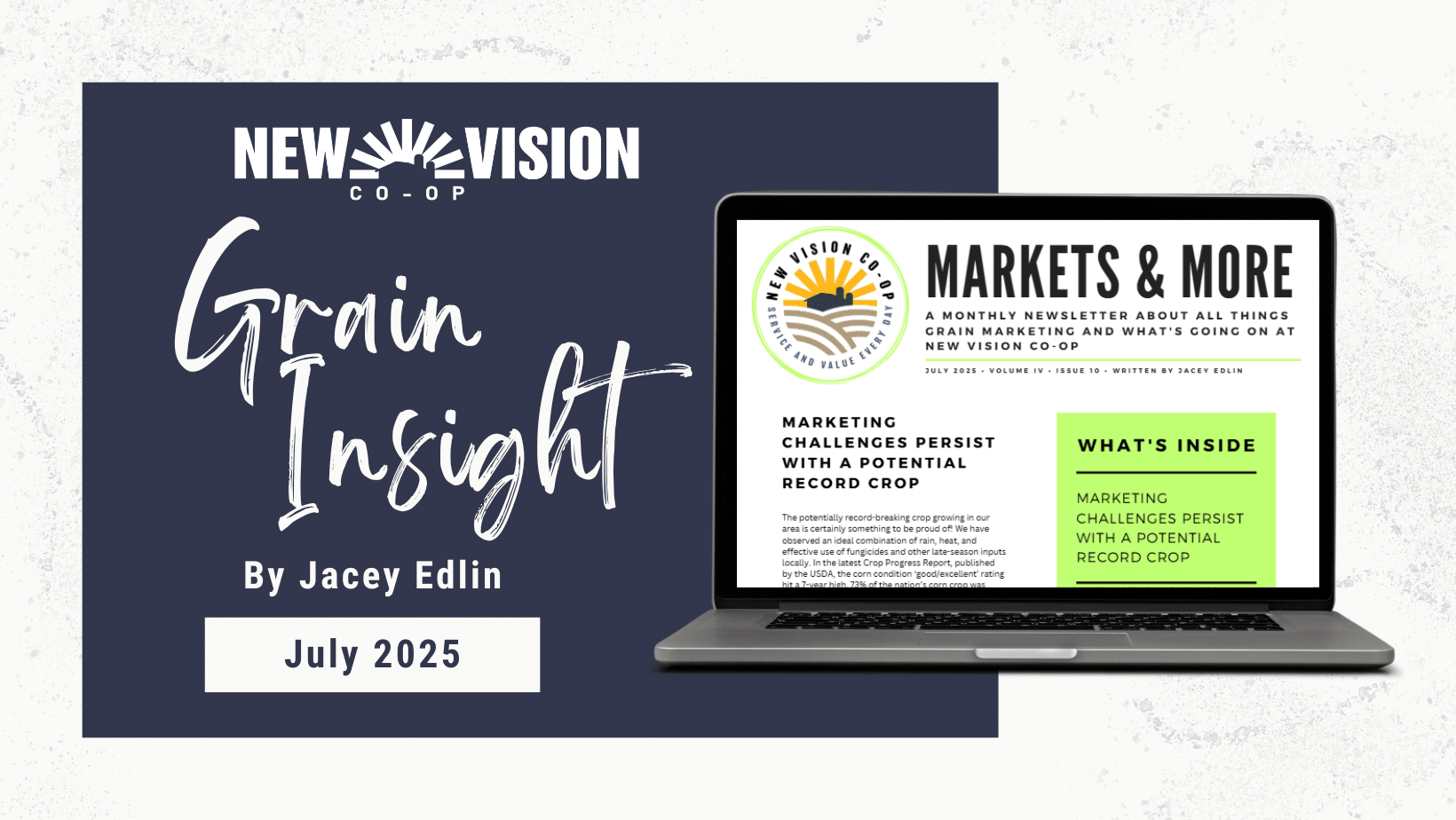 July 2025 Grain Insight | New Vision Co-op
