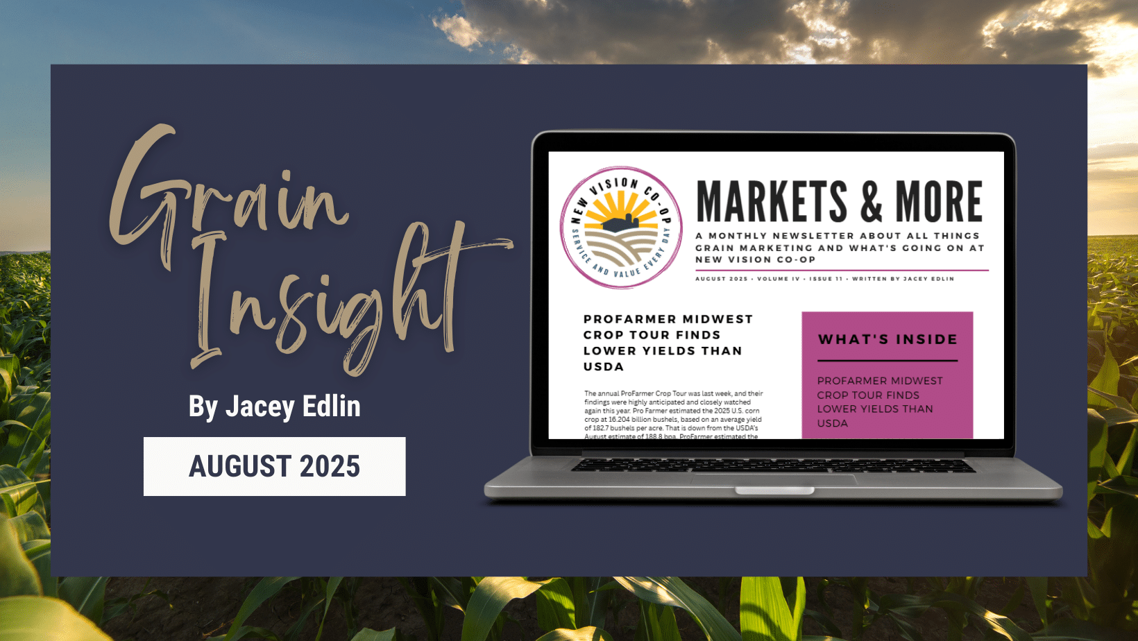 August 2025 Grain Insight | New Vision Co-op