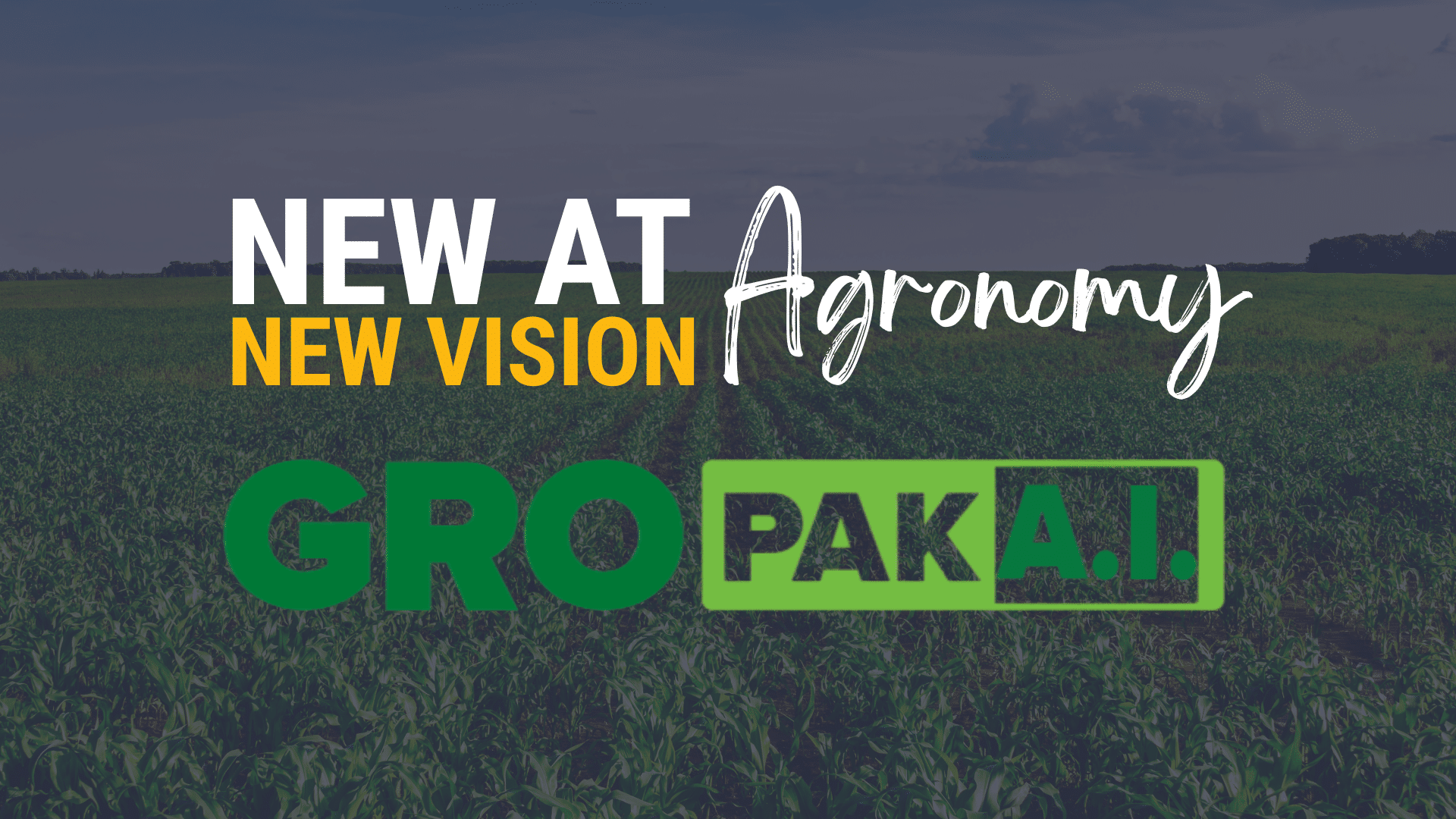 New Vision Today News | New Vision Co-op